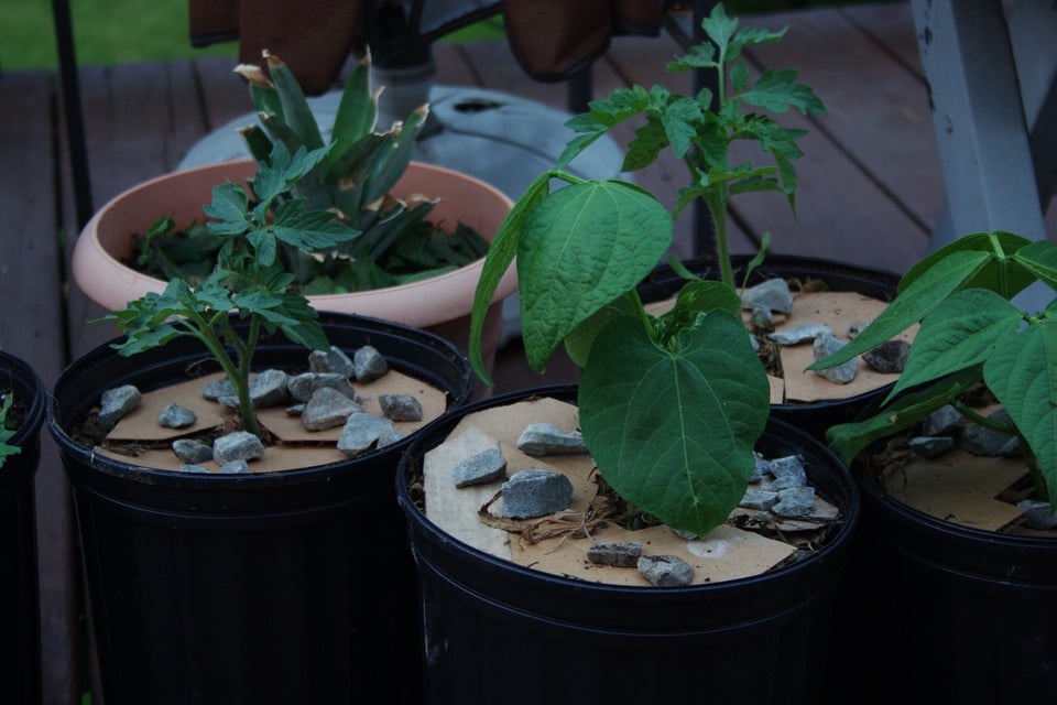 10 Unique Uses For Cardboard | HuffPost Impact