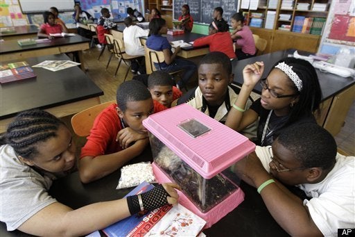 High Schools Teach Environmental Issues, Beyond Recycling | HuffPost Impact