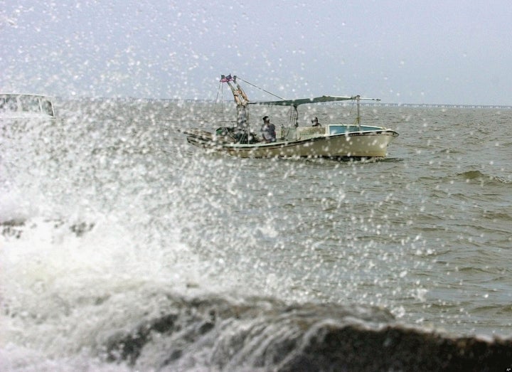Senator Feinstein Drops Her Amendment to Override the Endangered ...