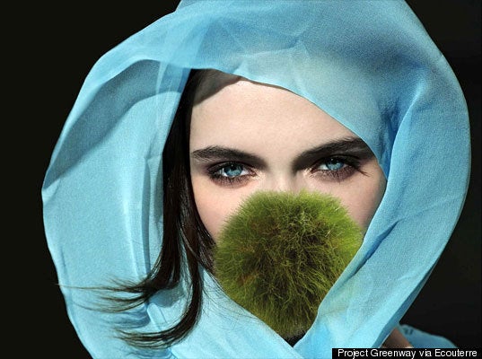 Green Screen: Living Face Mask Captures Carbon, Filters Bacteria ...
