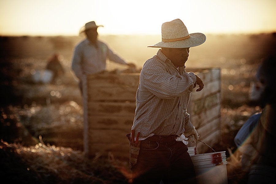 Striking Photos Show Struggle Of Farmers In California Drought ...