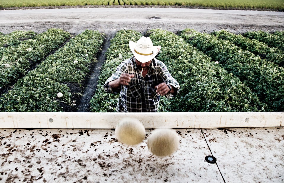 Striking Photos Show Struggle Of Farmers In California Drought ...