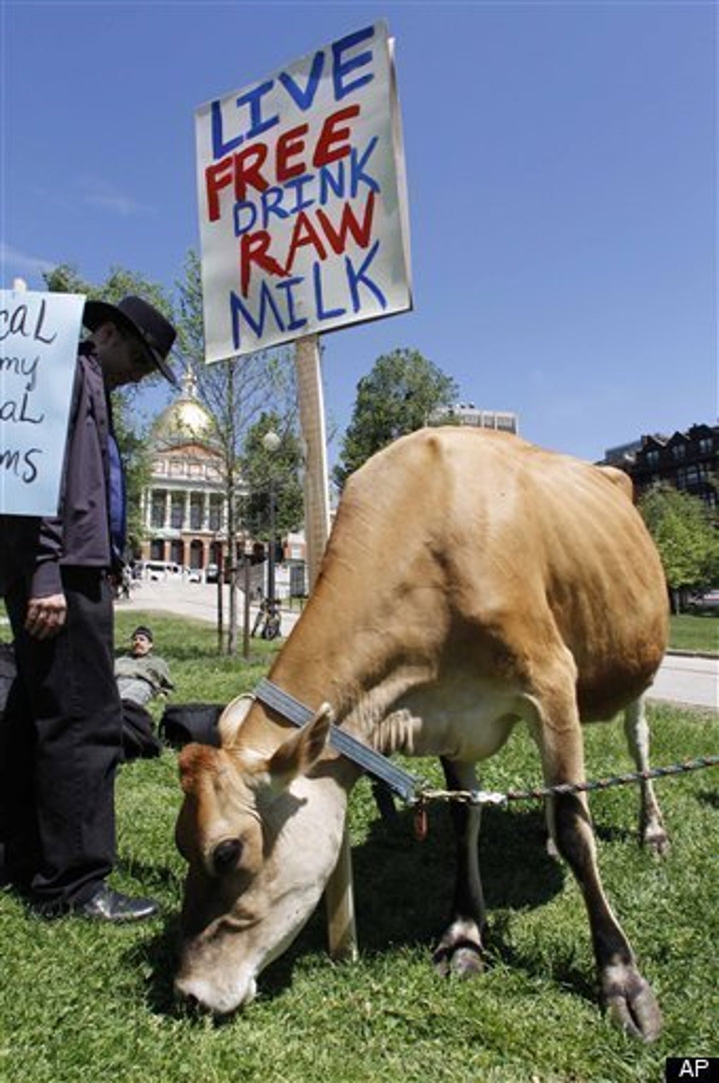 The Campaign to Bring Goats to Your Backyard... And to the White House ...