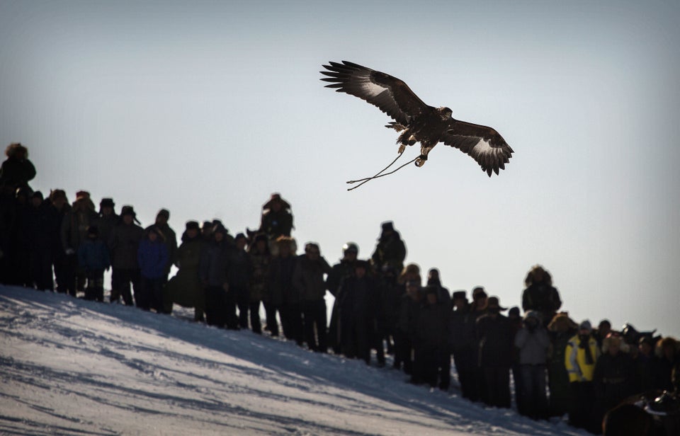 Incredible Photos Of China's Eagle Hunters Keeping An Ancient Tradition ...