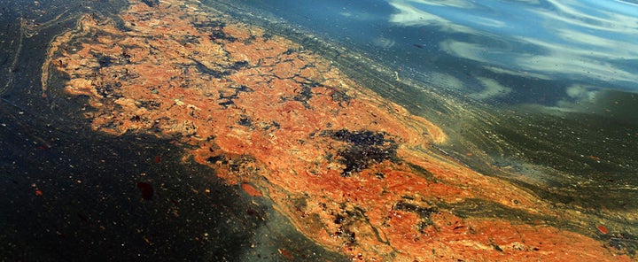 The Transformation of Jane Lubchenco | HuffPost Impact