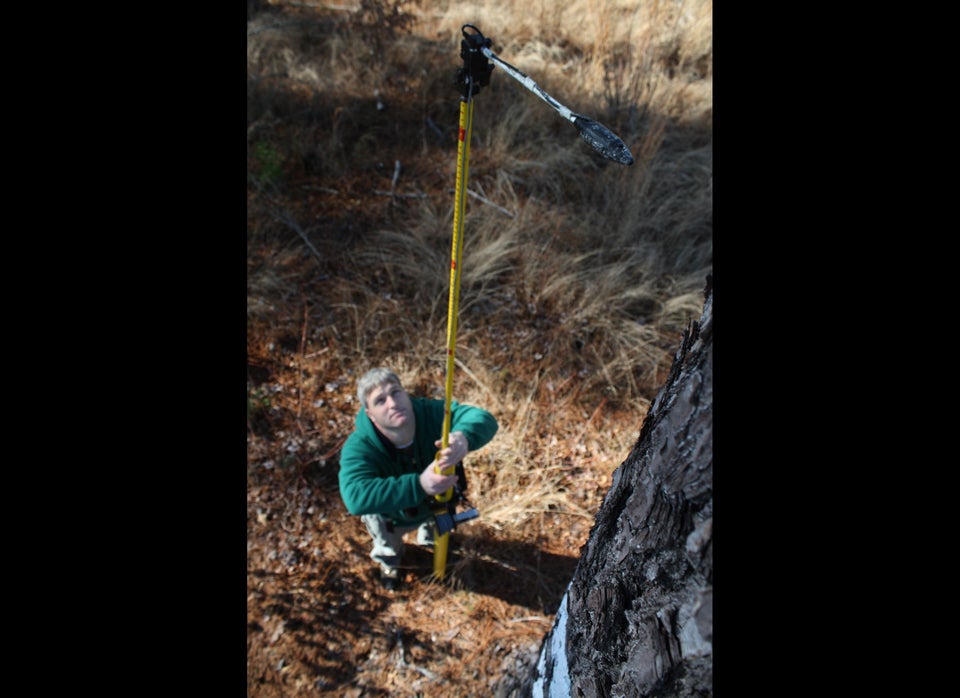 Conservation Tools: 'Very Pistols,' Underwater Paper, Amphibious ...