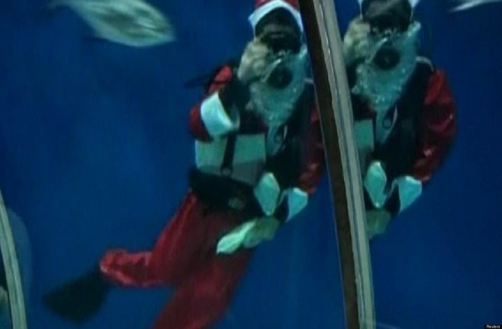 Swimming Santa Claus Promotes Protecting The Ocean (VIDEO) | HuffPost ...