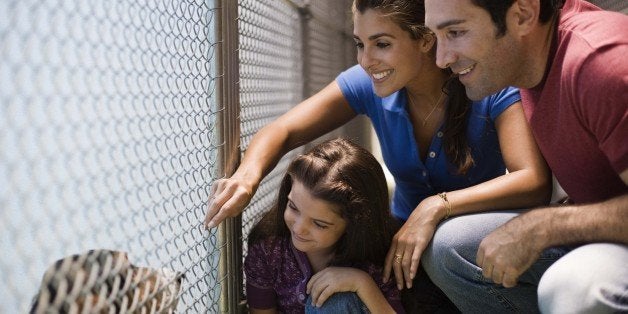 Too Many People Are Still Not Adopting Animals | HuffPost Impact