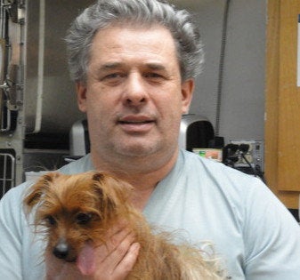 Veterinarian Michael Good Starts Nonprofit For Pet Adoption, Saves ...