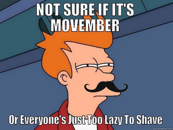 11 Movember Moustache Memes For A Good Cause, Good Laugh | HuffPost