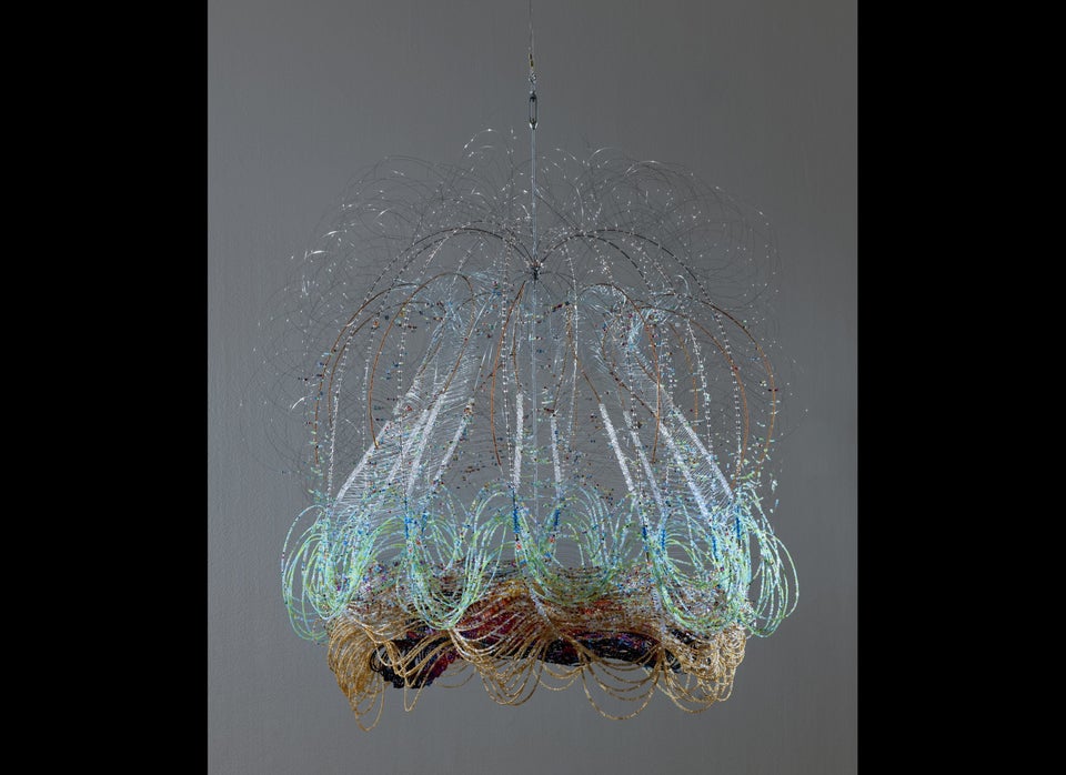 Elizabeth Simonson's Biomorphic Art | HuffPost Entertainment