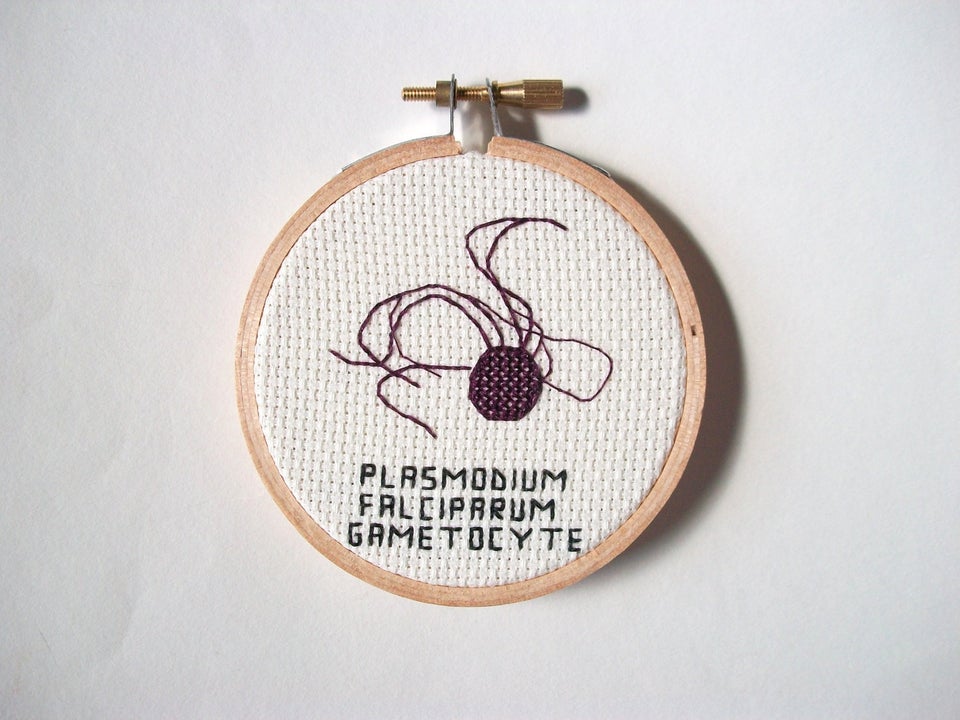 An Embroidered Art Project Dedicated To Viruses, Bacteria And Disease ...