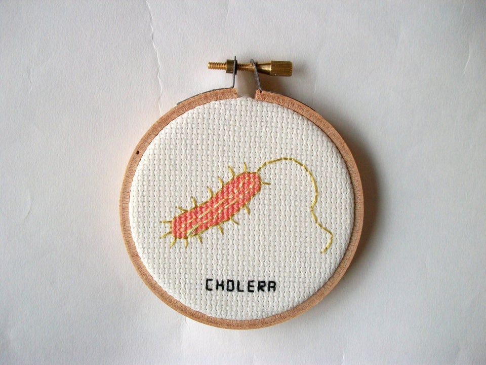 An Embroidered Art Project Dedicated To Viruses, Bacteria And Disease ...