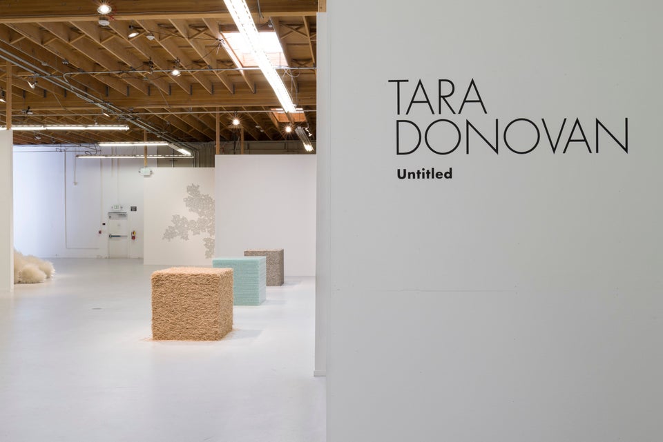 Artist Transforms Everyday Materials Into Gorgeous, Towering Alien ...