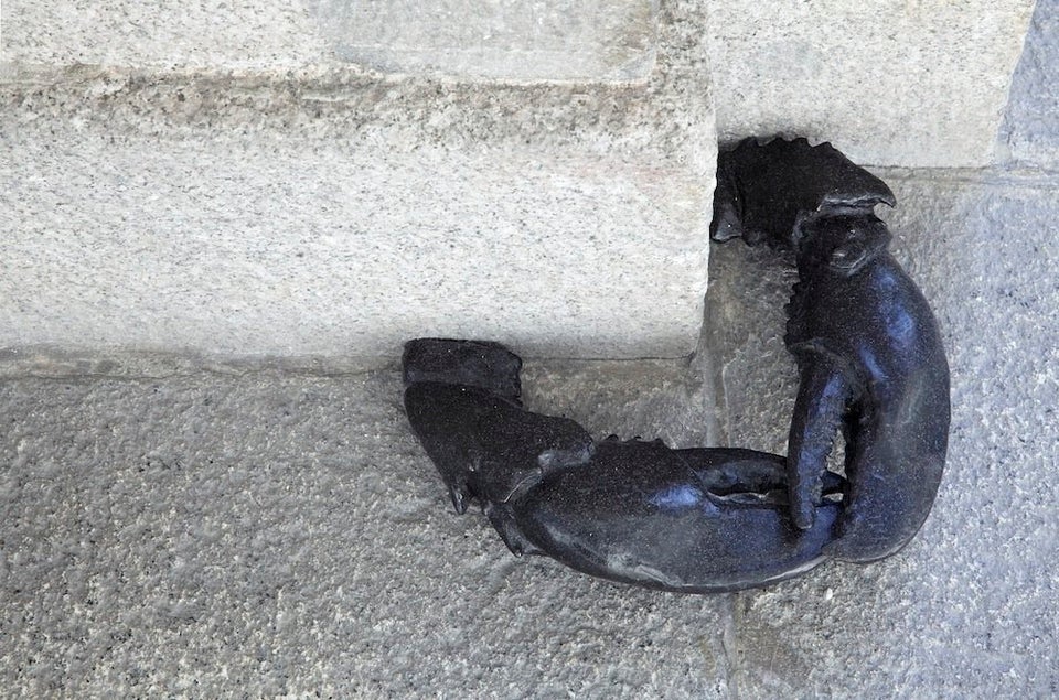 'Puddle, Pothole, Portal' Brings Animation's Absurdity To The Art World ...