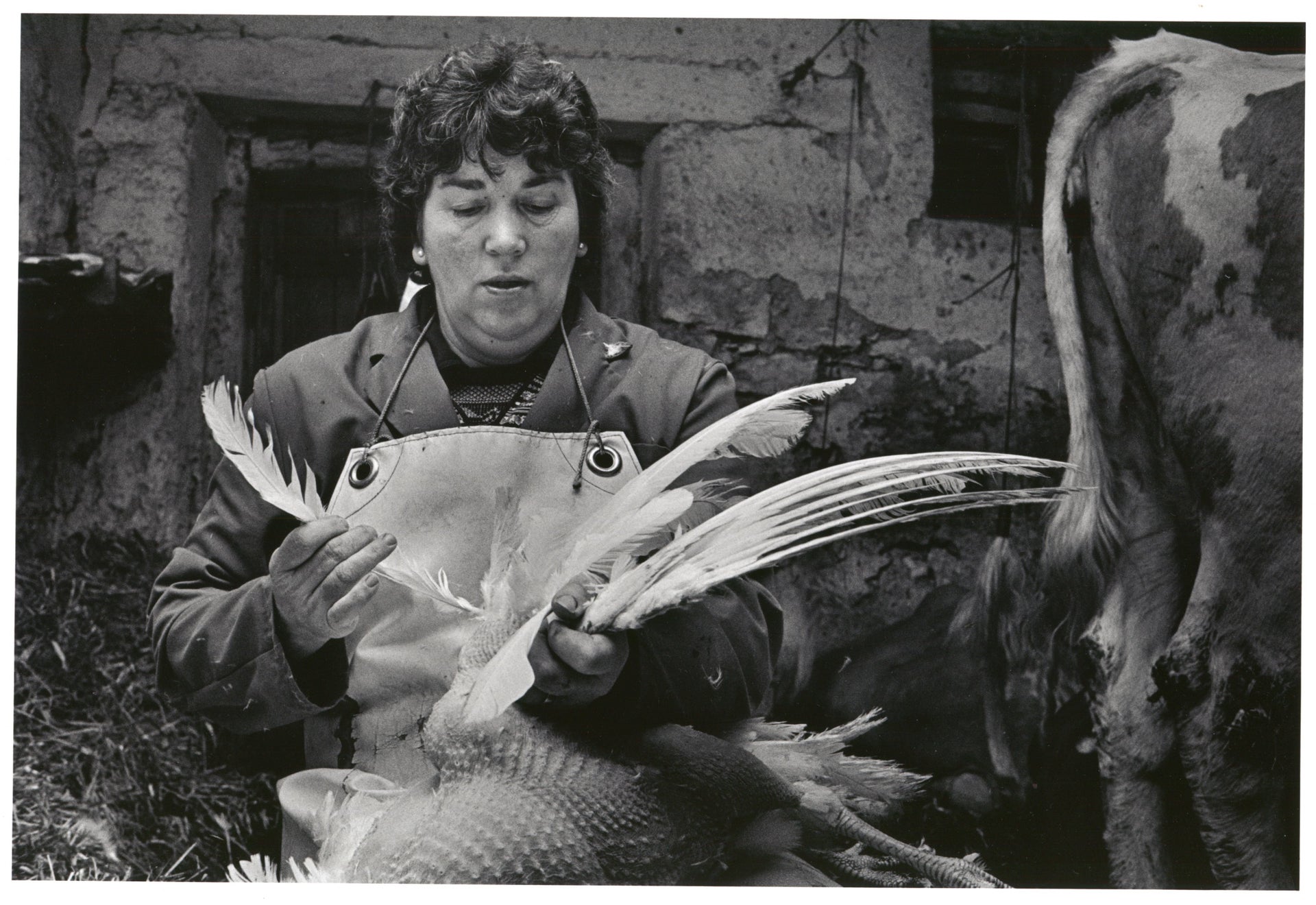Monique Jacot Is The Pioneering Female Photographer You Don't Know, But ...