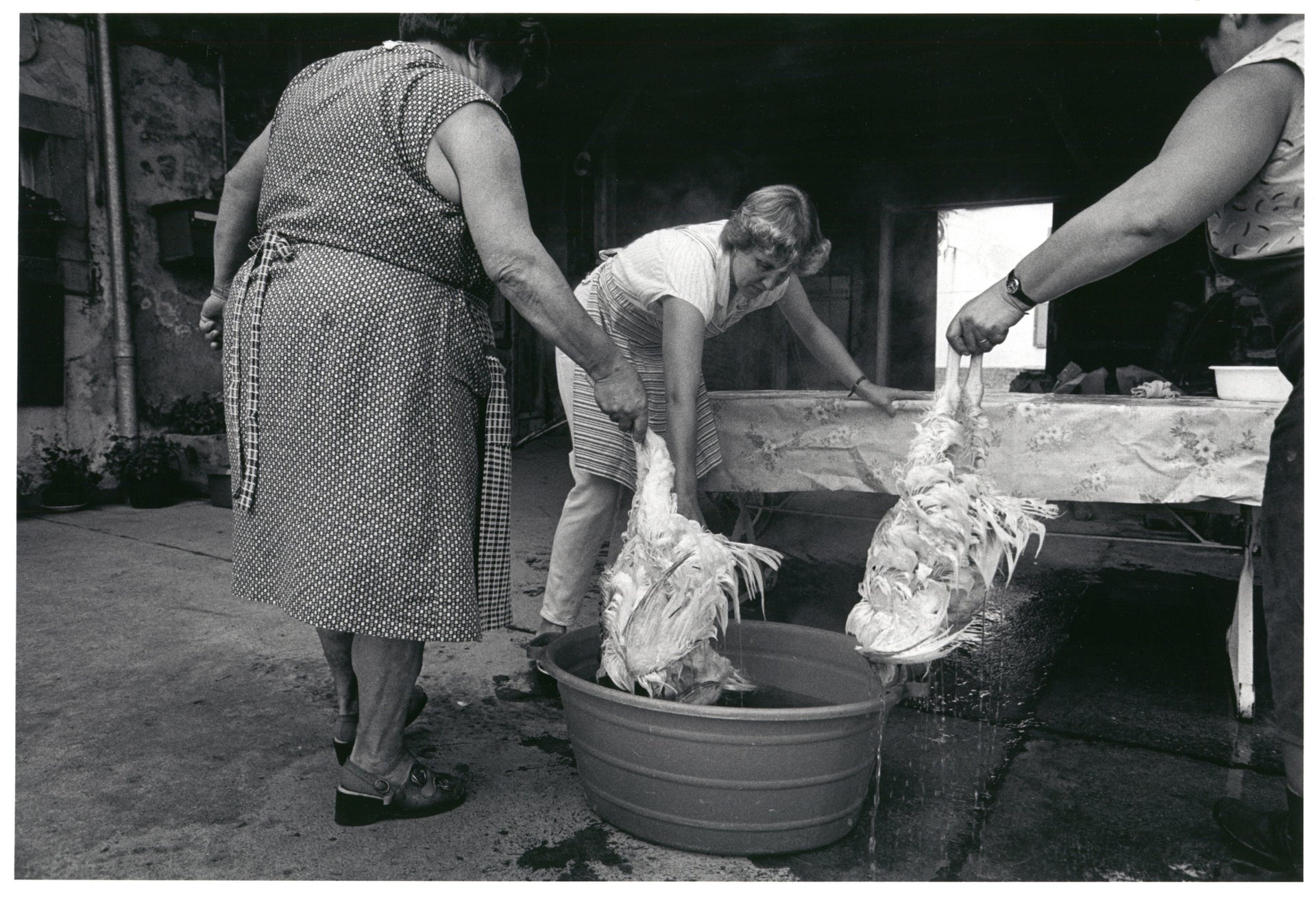 Monique Jacot Is The Pioneering Female Photographer You Don't Know, But ...