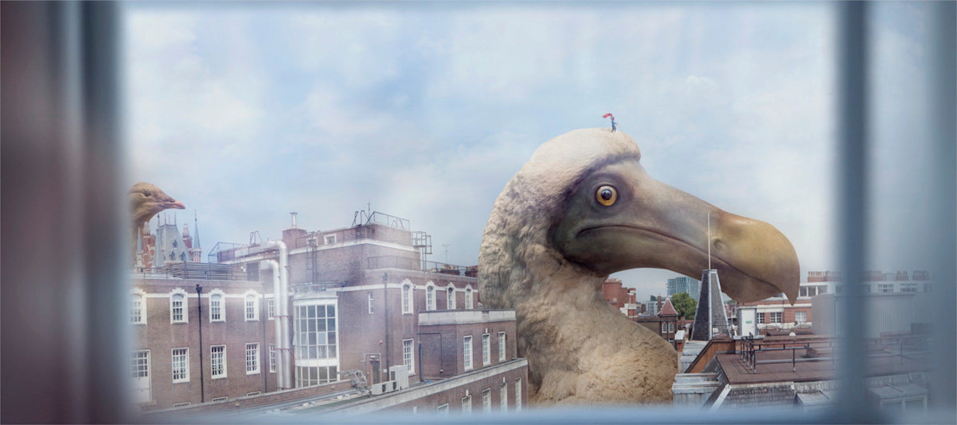 The Strange World Of Manuel Archain, An Artist Who Photographs His ...