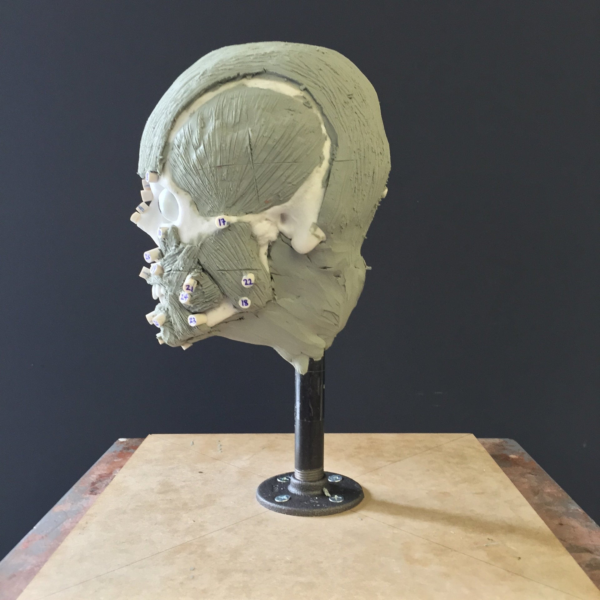 This Is Forensic Sculpture, A Combination Of Art And Science That Aims ...