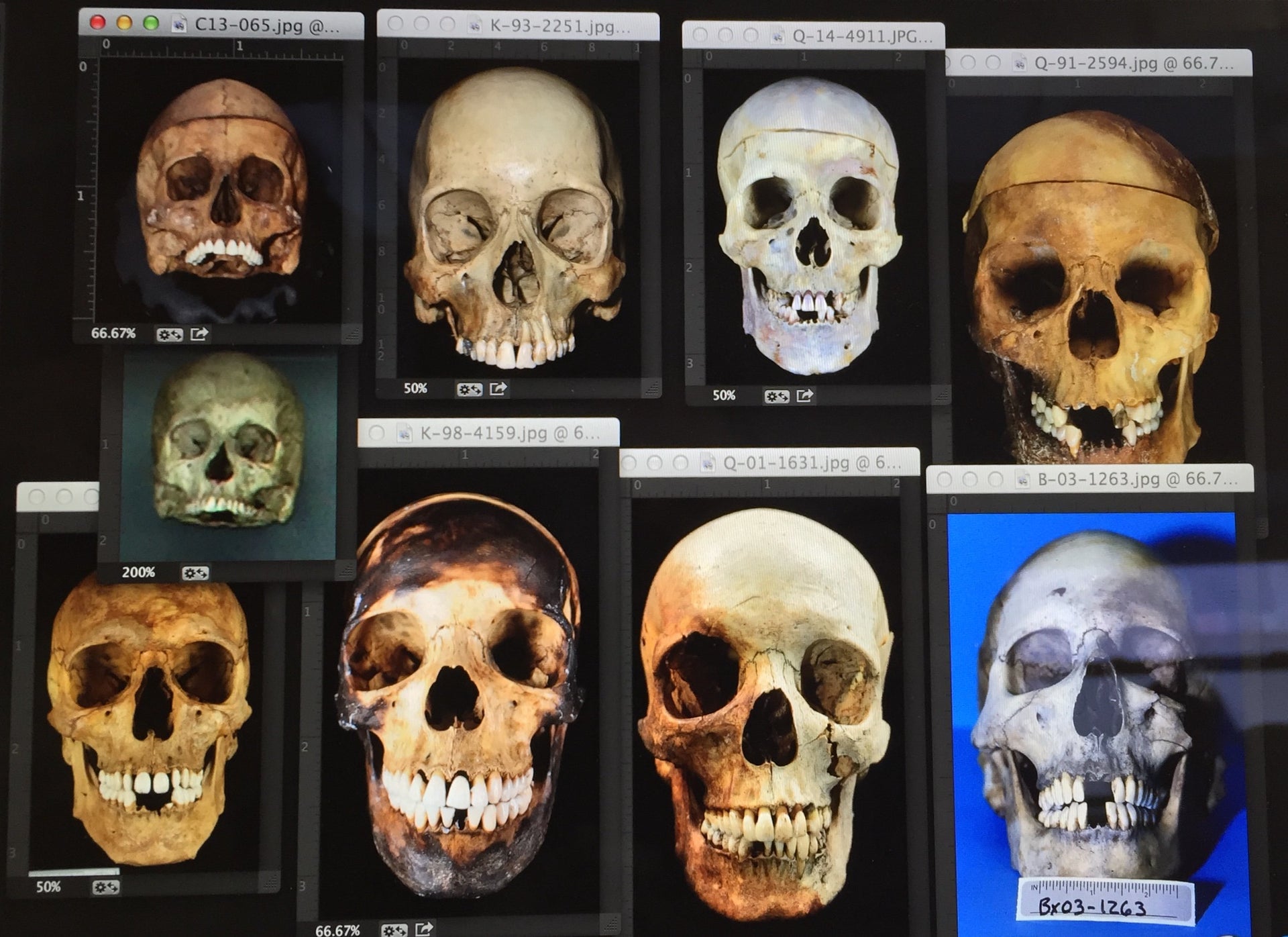 This Is Forensic Sculpture, A Combination Of Art And Science That Aims ...