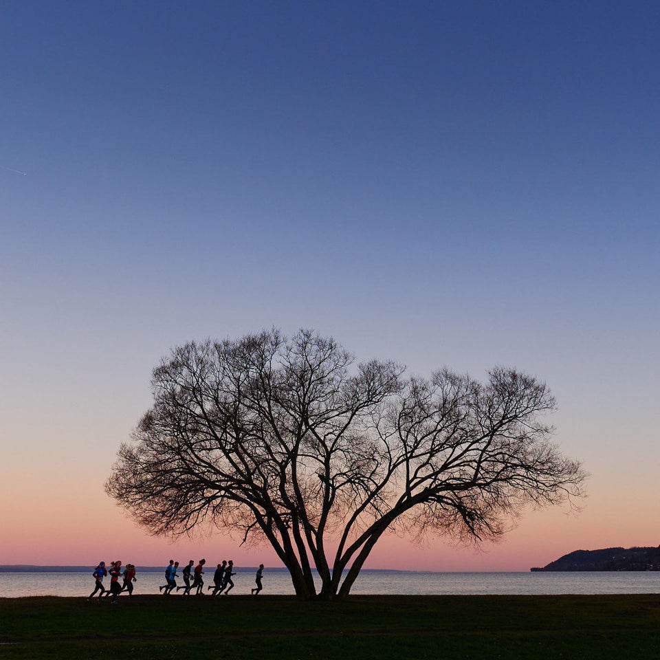 Why One Instagram Account Is Following The Life Of A Single, Beautiful ...