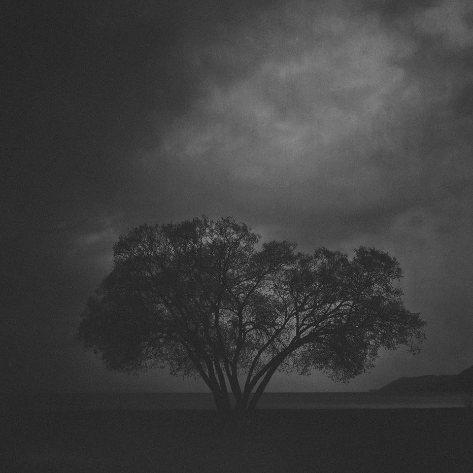 Why One Instagram Account Is Following The Life Of A Single, Beautiful ...