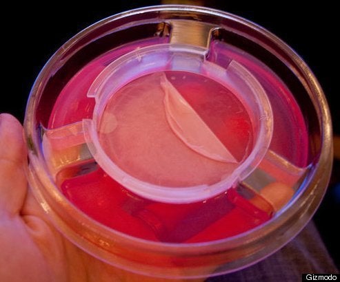 Apligraf: Mass-Produced Living Tissue Could Help Healing | HuffPost Life