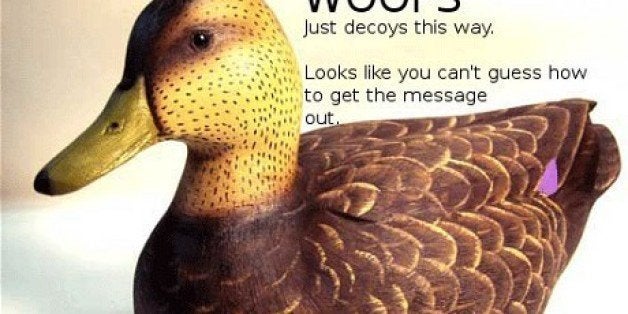 This Duck Has The Best Hackers In The World Baffled | HuffPost Life