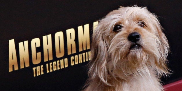 The 'Anchorman 2' Cast Makes A Big EDM Techno Banger Hit | HuffPost ...