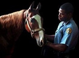 Mike Sheehan, TV News Reporter, Arrested For DWI After Hitting NYPD ...