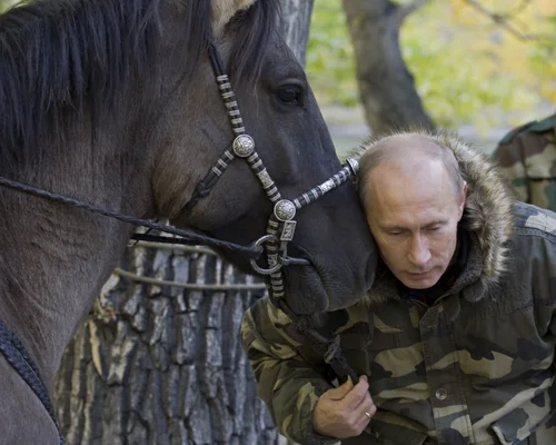 Putin Riding Animals