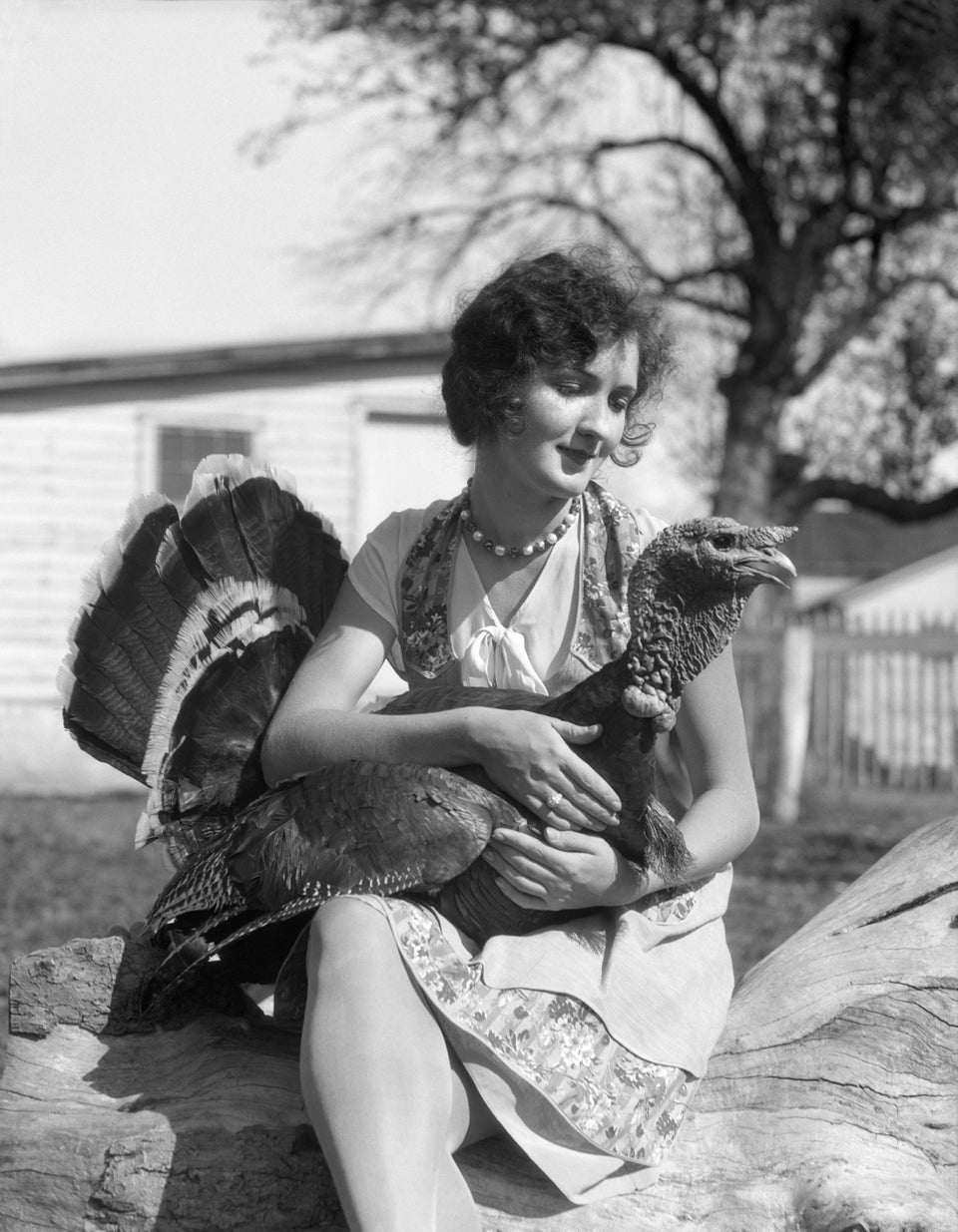 Women Hanging Out With Turkeys -- A Thanksgiving Tradition For The Ages ...