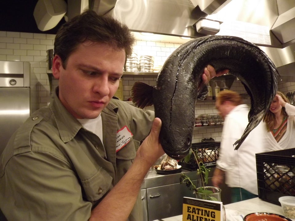9 Invasive Species You Can Eat (PHOTOS) | HuffPost Entertainment