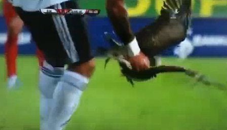 Soccer Player Catches Bird During Game (VIDEO) | HuffPost Sports