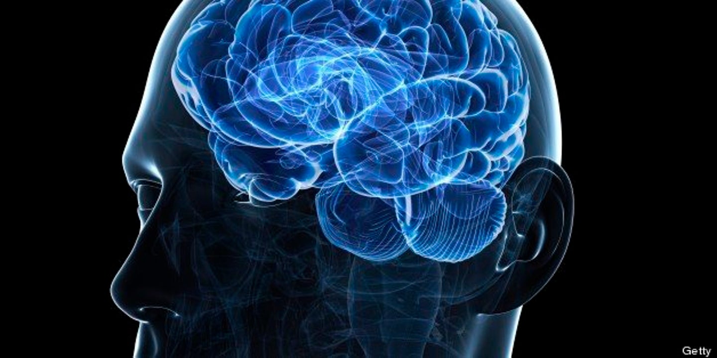 The Male Brain: What's Really Going On In There | HuffPost OWN