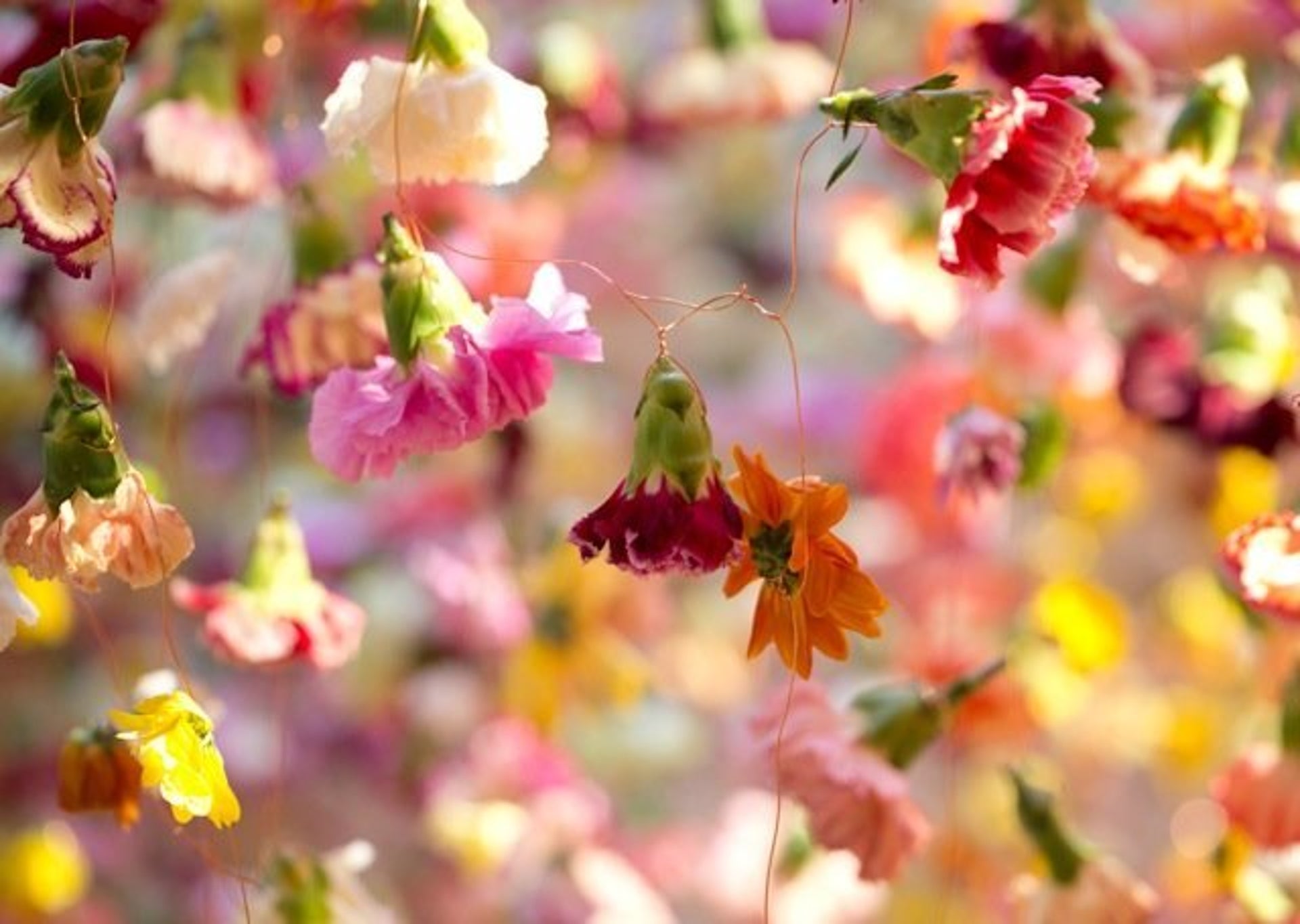 These Floral Arrangements Are Beautiful Beyond Your Wildest Dreams ...
