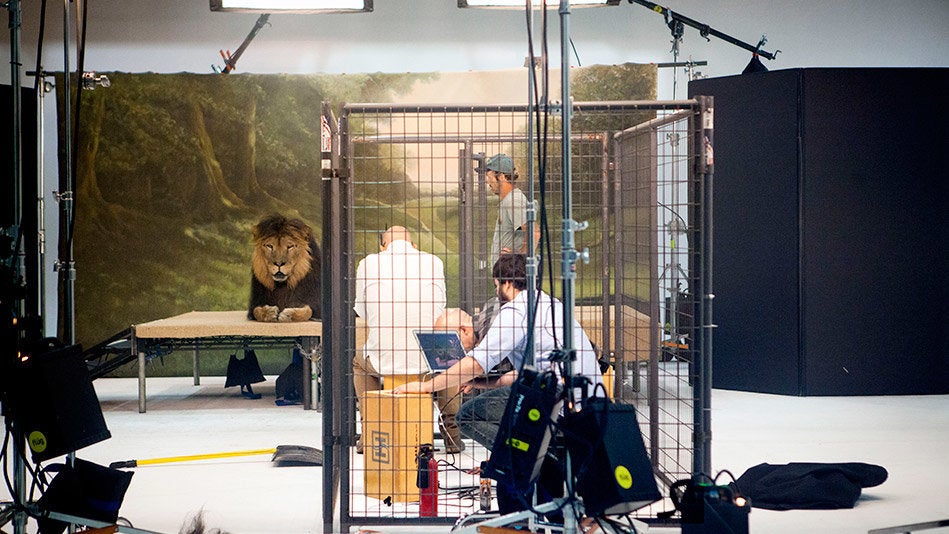 Oprah Poses With Lion On Latest O Magazine Cover | HuffPost OWN
