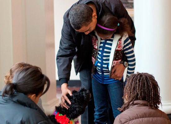 Does Bo Know He's Top Dog? | HuffPost Latest News