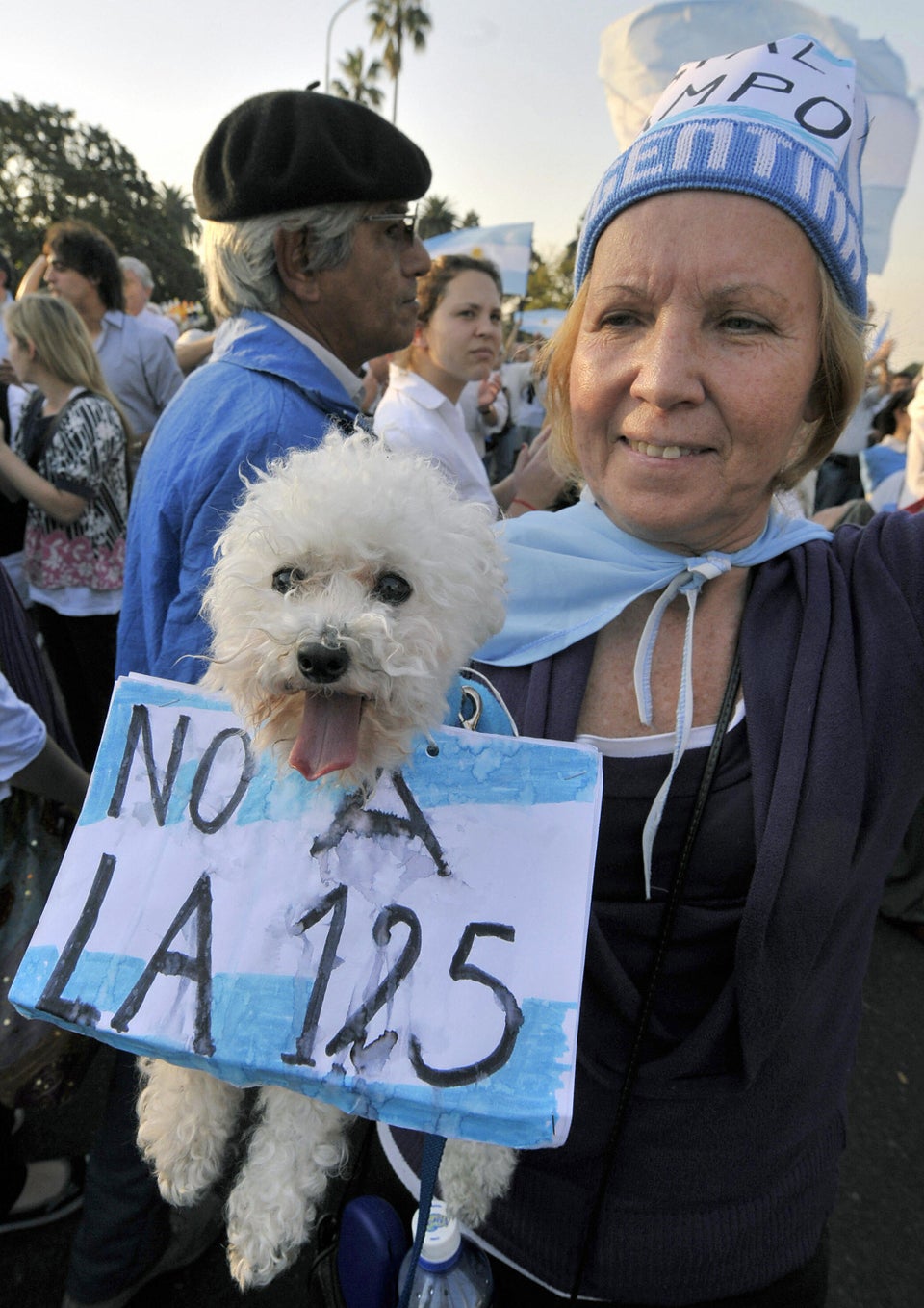 You Might Not Like Politics, But These Protesting Dogs Are Adorable ...