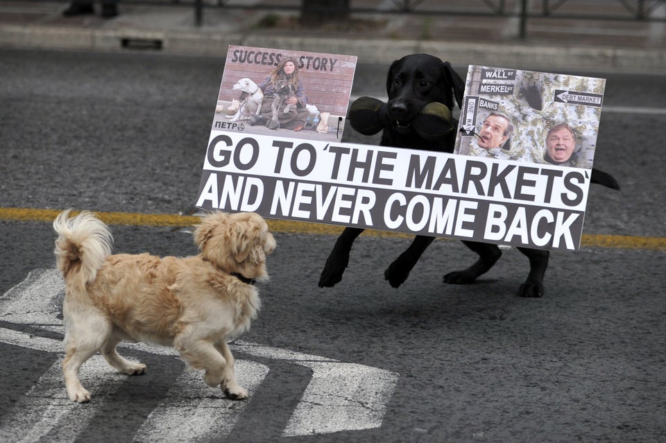 You Might Not Like Politics, But These Protesting Dogs Are Adorable ...
