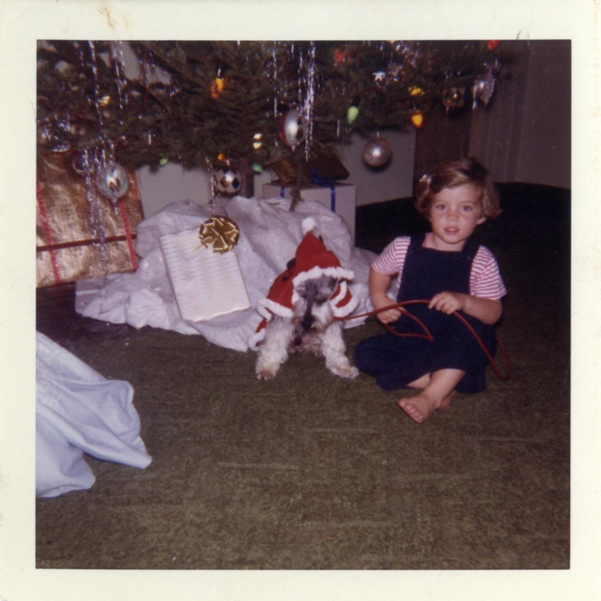 Never-Before-Seen Photos Of Kennedy Family Up For Auction | HuffPost ...