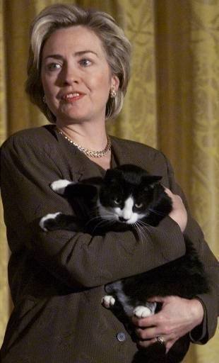 Strange Anti-Clinton Robo Calls: "Hillary Thinks Cats Are Expendable ...