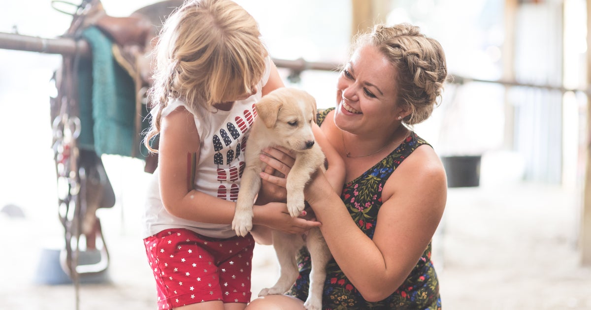 6 Golden Lessons To Keep Your Kids Safe Around Dogs | HuffPost UK Parents
