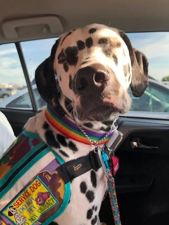Can A Service Dog Help With Peripheral Neuropathy