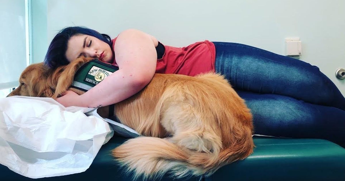23 Photos That Capture The Bond Between Service Dogs And Their Humans ...