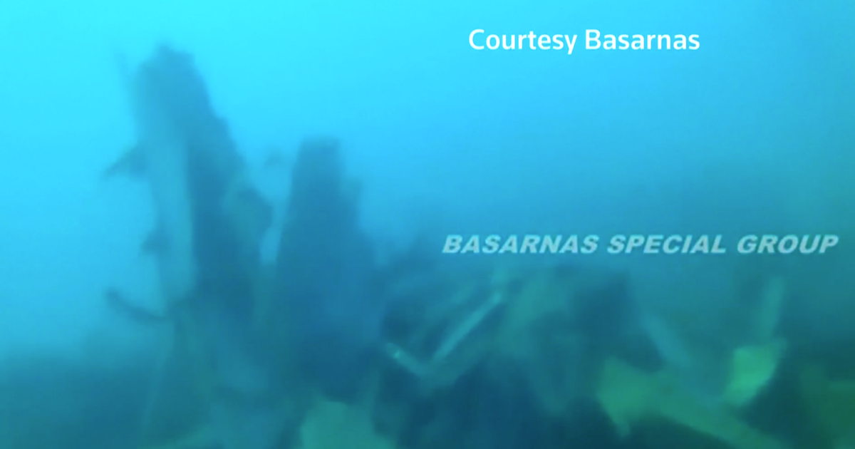 Lion Air 610 Jet's Fuselage And Engines Found As Black Box 'Ping' Heard ...