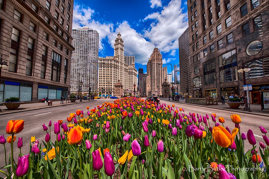 Best Chicago Photos Of 2013: 50 Shots Of Our Stunning City | HuffPost ...