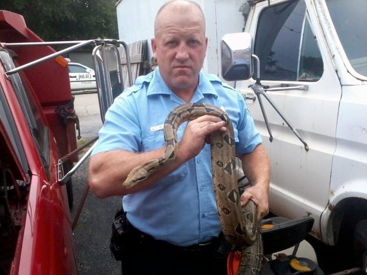 Python Removed From Car In Joliet | HuffPost Chicago