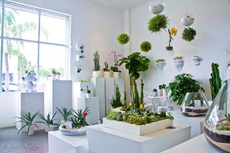 Small Business Saturday Miami: A Few Of Our Favorite Shops And Goods ...