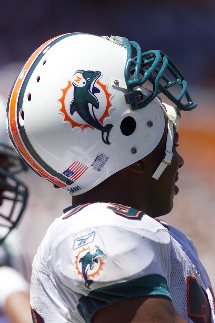 ...Like A Dolphin Needs A Helmet | HuffPost Miami